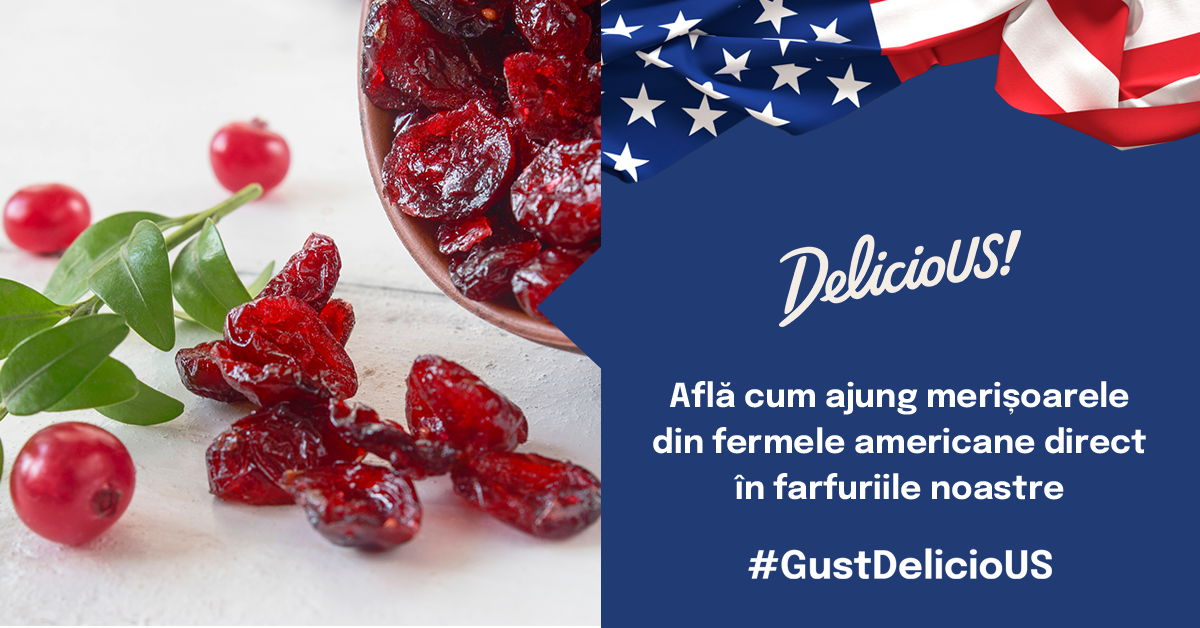 Cum sunt cultivate și recoltate merișoarele? - DelicioUS România